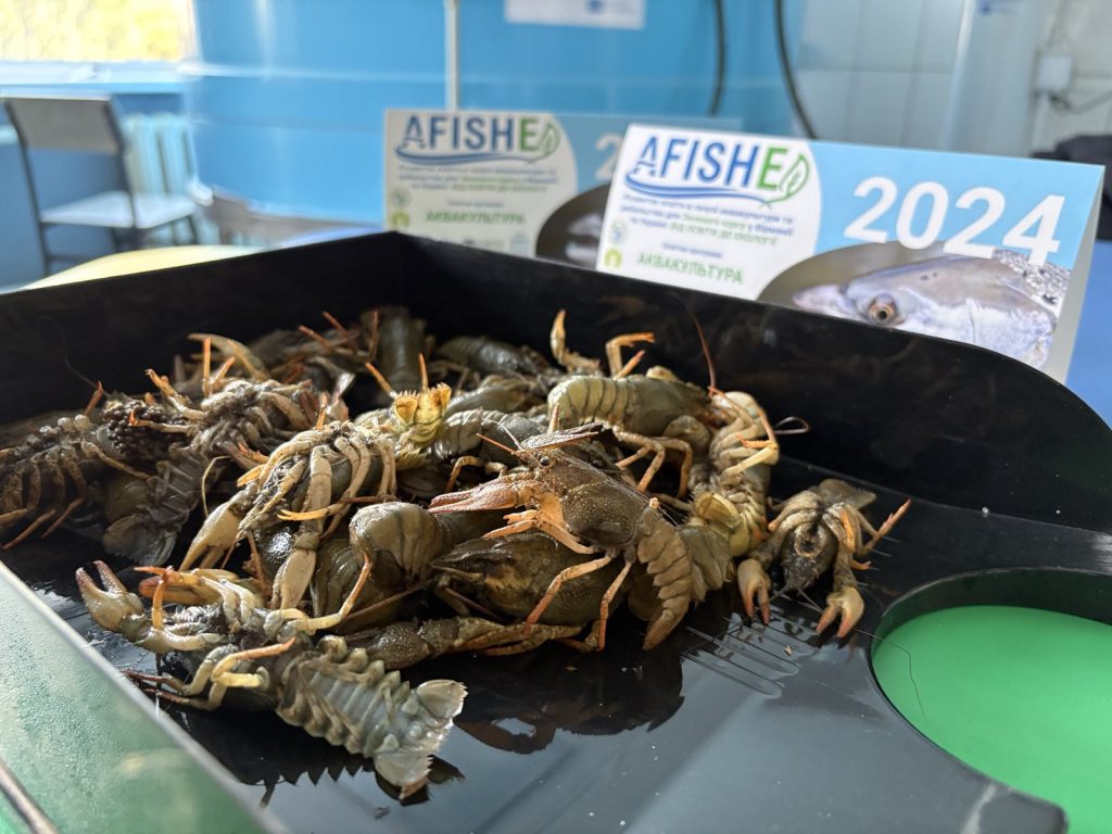 Freshwater Crayfish Cultivation Initiated at the Faculty of Biology and ...